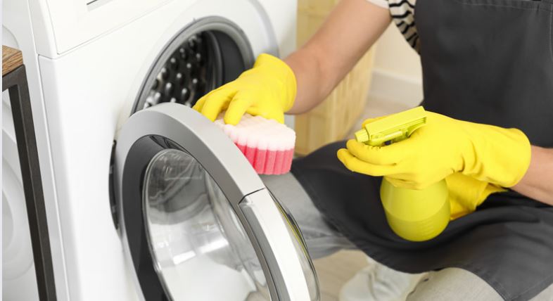 How to Clean Washing Machine Seal? | How To Cleaning Blog