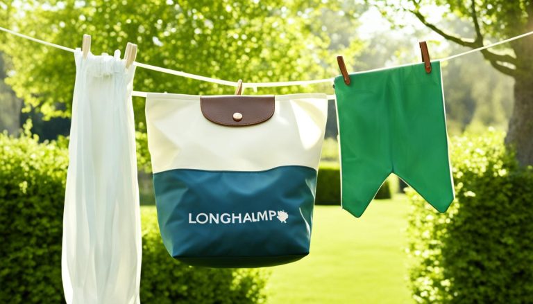 How to Clean a Longchamp Bag? | Easy Care Tips!